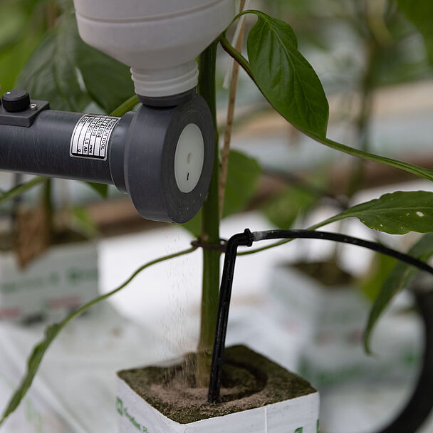 Natutec Trianum-G tool | Enhetlig och exakt applicering av Trichoderma ...